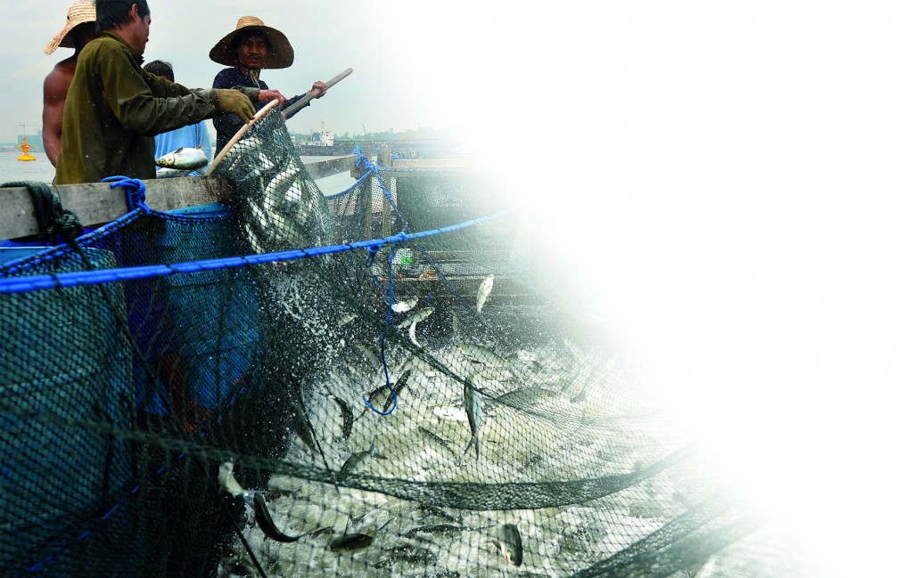 Fish Farming Goes Hi-Tech